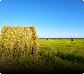 Tractor Equipment Listing & Rental Services - Find or Rent Easily